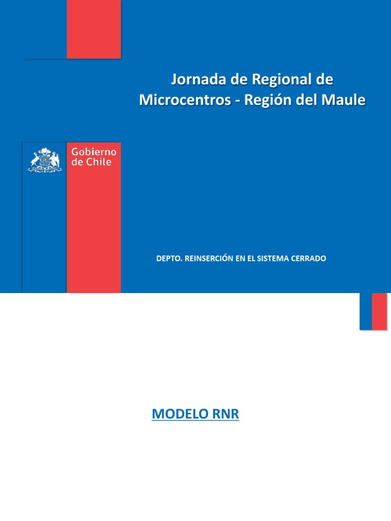 Modelo RNR | PDF | Comportamiento | Esquizofrenia
