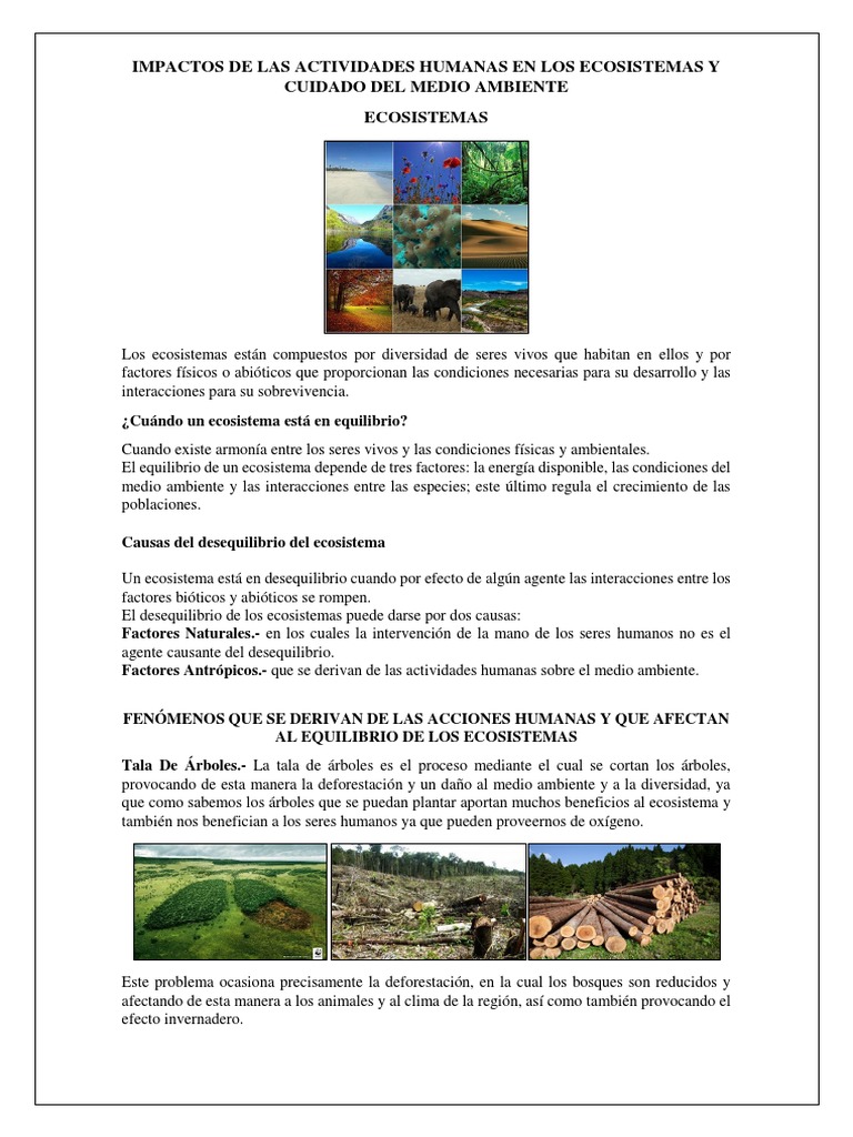Impacto Humano en los Ecosistemas | PDF | Contaminación | Derrame de ...