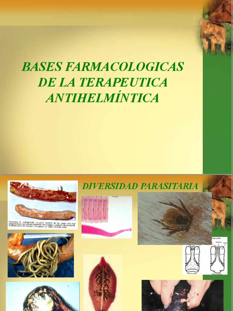 Antiparasitarios | PDF | Farmacocinética | Medicamentos con receta