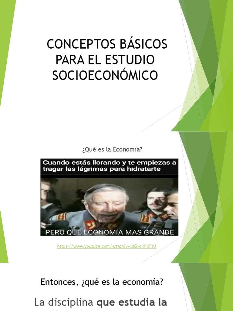 Conceptos Básicos para El Estudio Socioeconómico | PDF