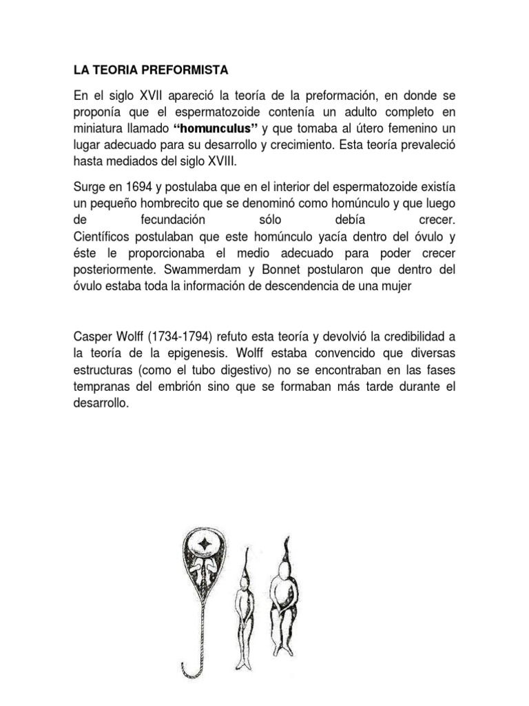 La teoría preformista y el debate sobre el origen y desarrollo del ...