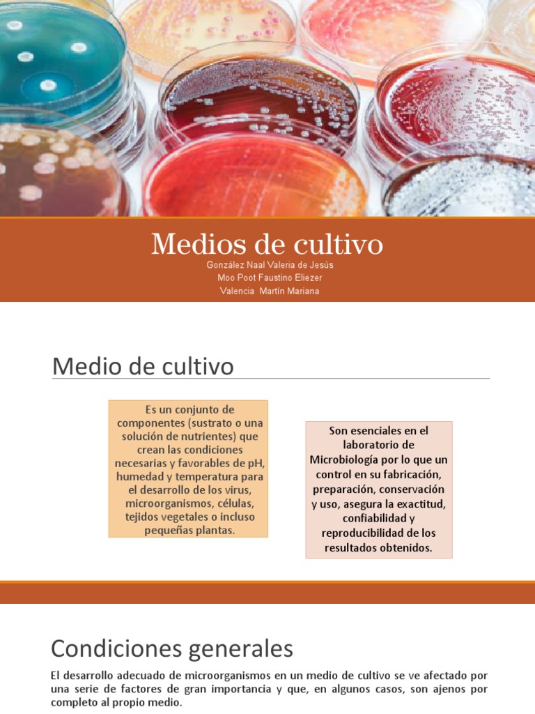 Medios de Cultivo | PDF | Microbiología | Biología