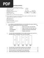 Year 7 Plant Cell Worksheet | PDF