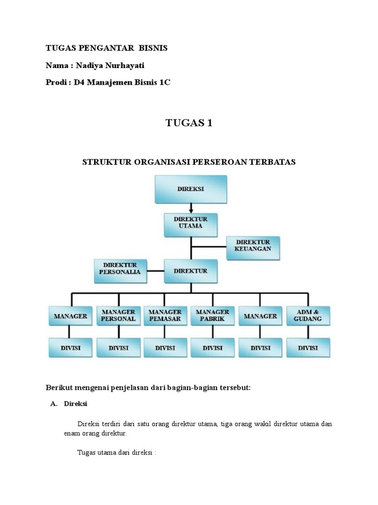 Struktur Organisasi Perseroan Terbatas | PDF