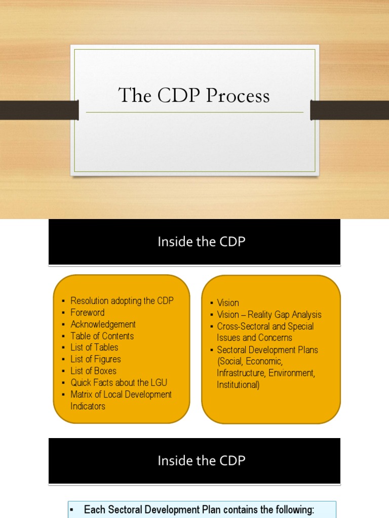 CDP Process | PDF | Economic Development | Infrastructure