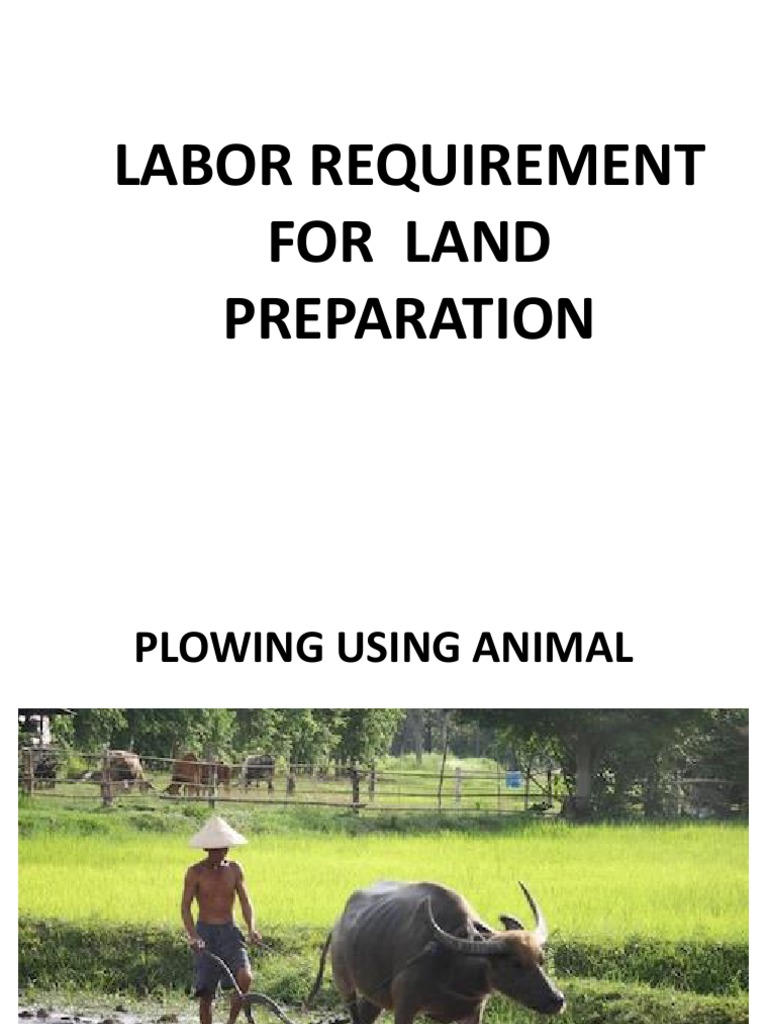 Labor Requirements for Land Preparation | PDF