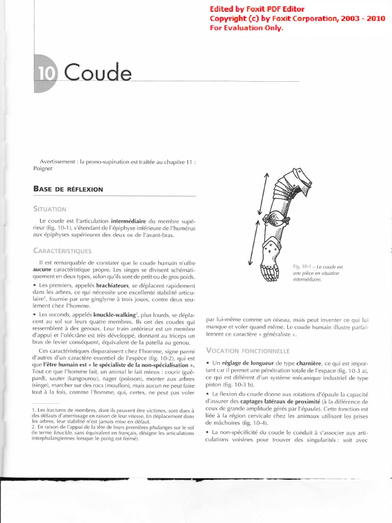 Anatomie et biomécanique du coude | PDF | Coude | Membres (anatomie)