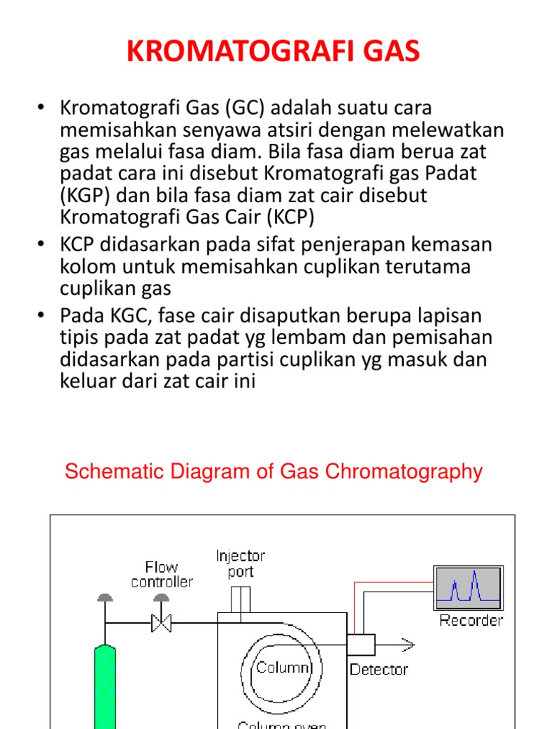 Kromatografi Gas | PDF