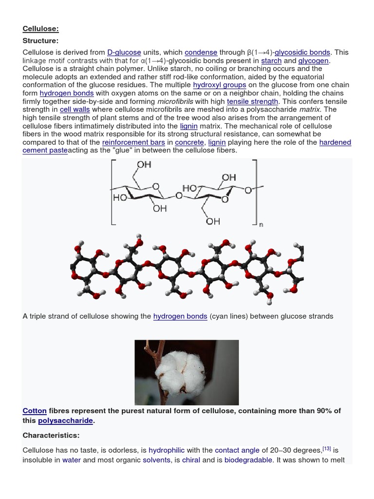Chemistry Sample ISC Board Project-Polymers | PDF | Cellulose | Dna