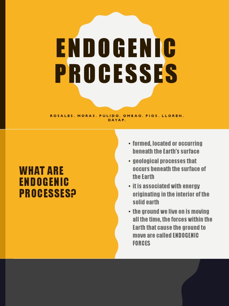 Endogenic Processes | PDF | Volcanism | Fault (Geology)