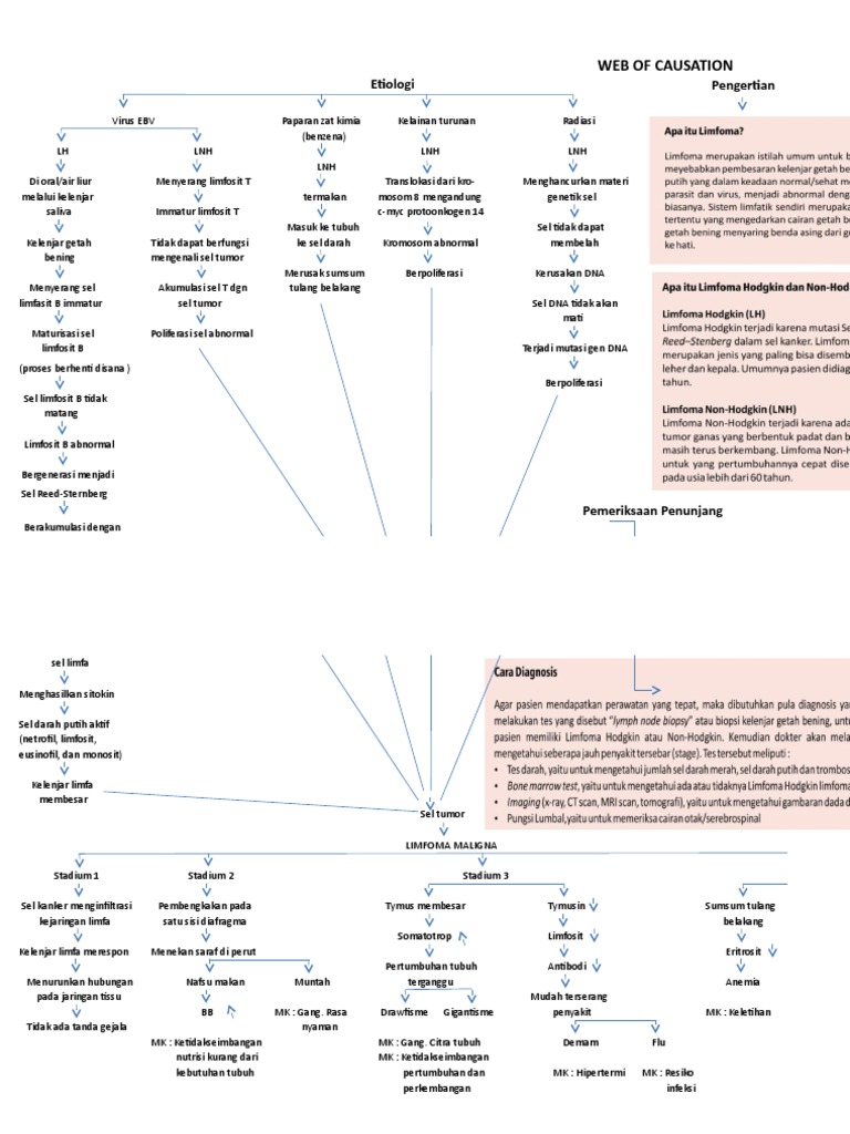 Woc Limfoma Malignant | PDF