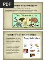 Animal Classification Chart - Invertebrates | PDF | Invertebrate | Zoology