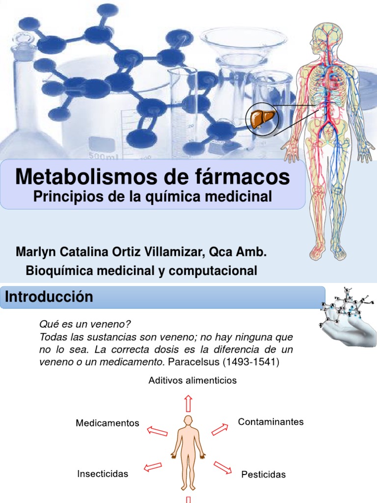 Metabolismo de Fármacos | PDF | Citocromo P450 | Metabolismo