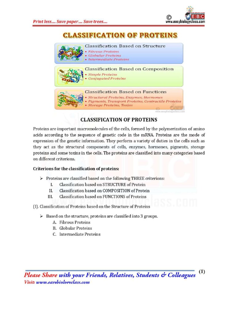 Protein Classification Overview | PDF | Science & Mathematics