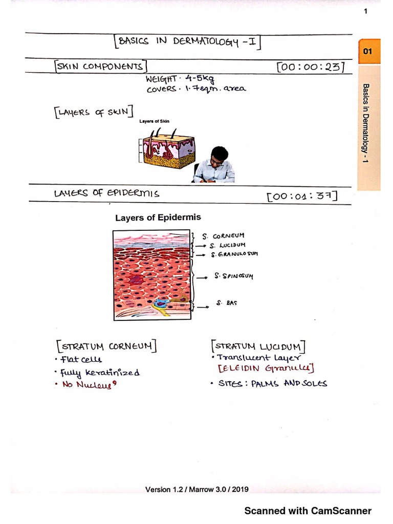 Dermatology Notes | PDF