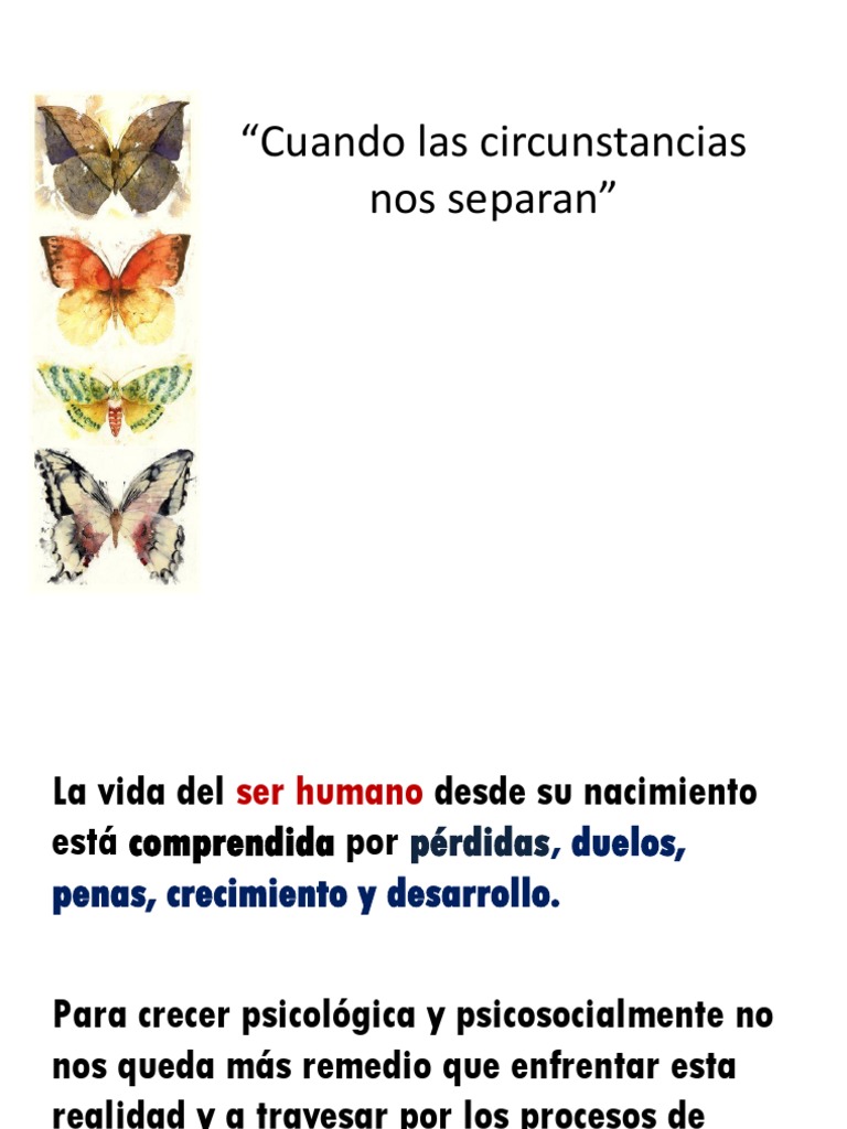 Reflexion Sobre El Duelo Por Perdida de La Pareja | PDF | Dolor | Amor
