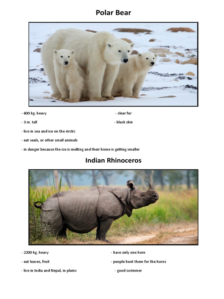 Endangered Animals | PDF