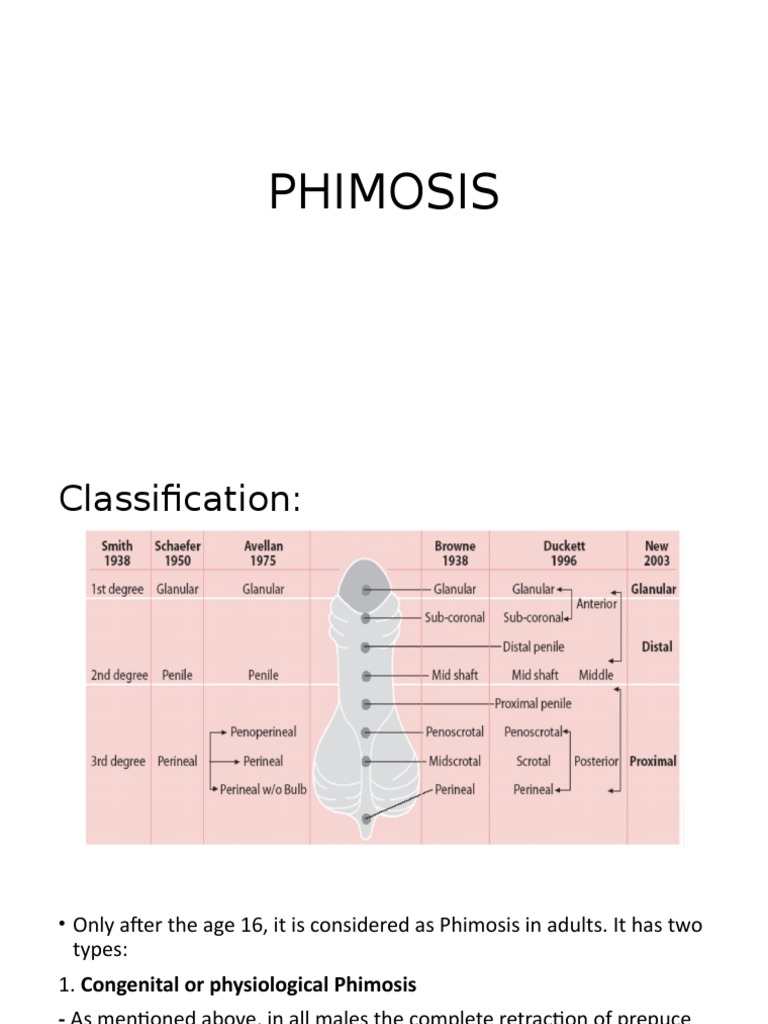 Fimosis | PDF | Urology | Epidemiology