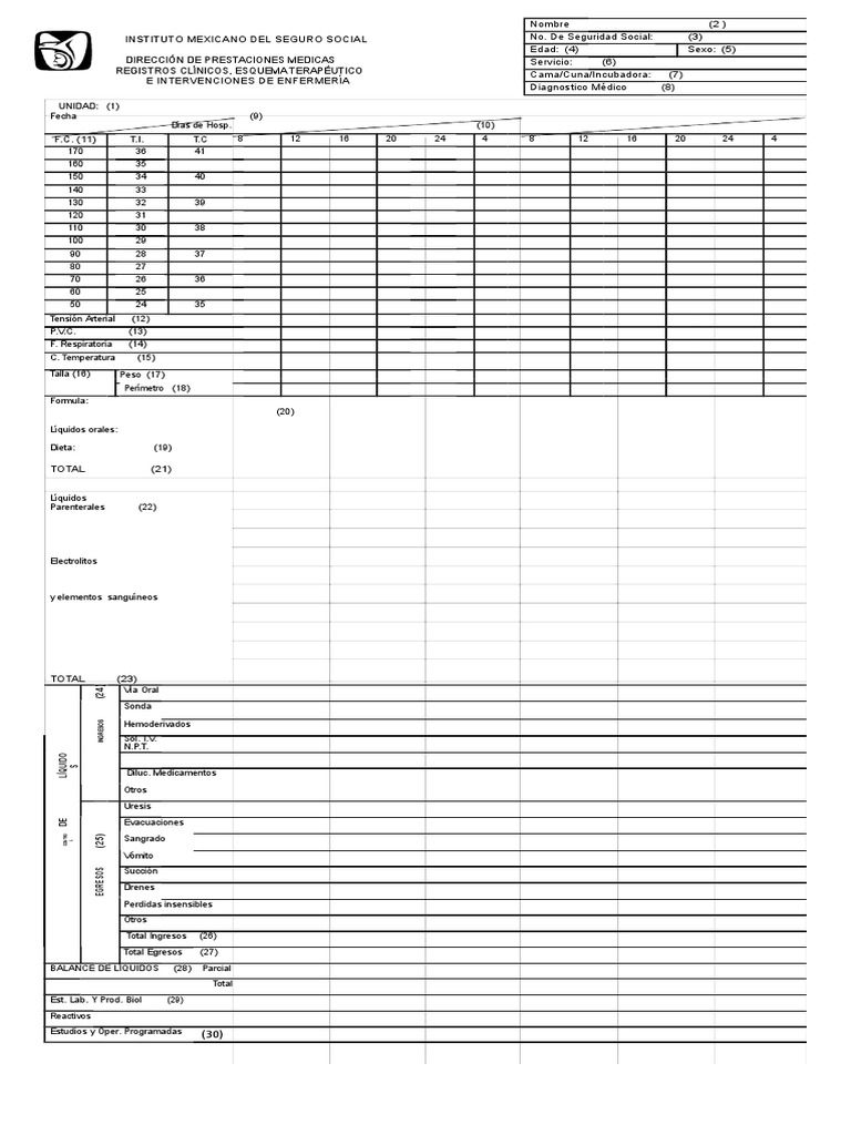 Instructivo Hoja Enfermeria Del IMSS | PDF | Enfermería | Medicamentos ...