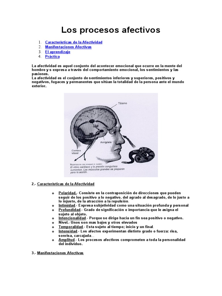 Procesos Afectivos | PDF | Las emociones | Aprendizaje
