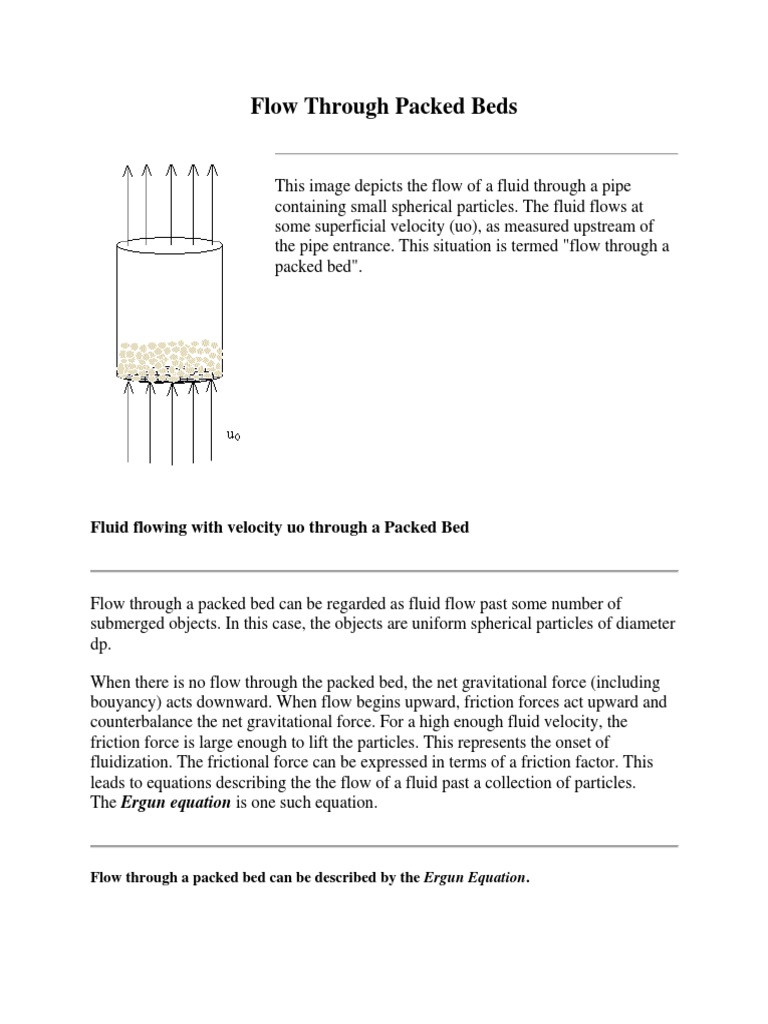 Flow Dynamics in Packed Beds | PDF | Philosophy | Science & Mathematics