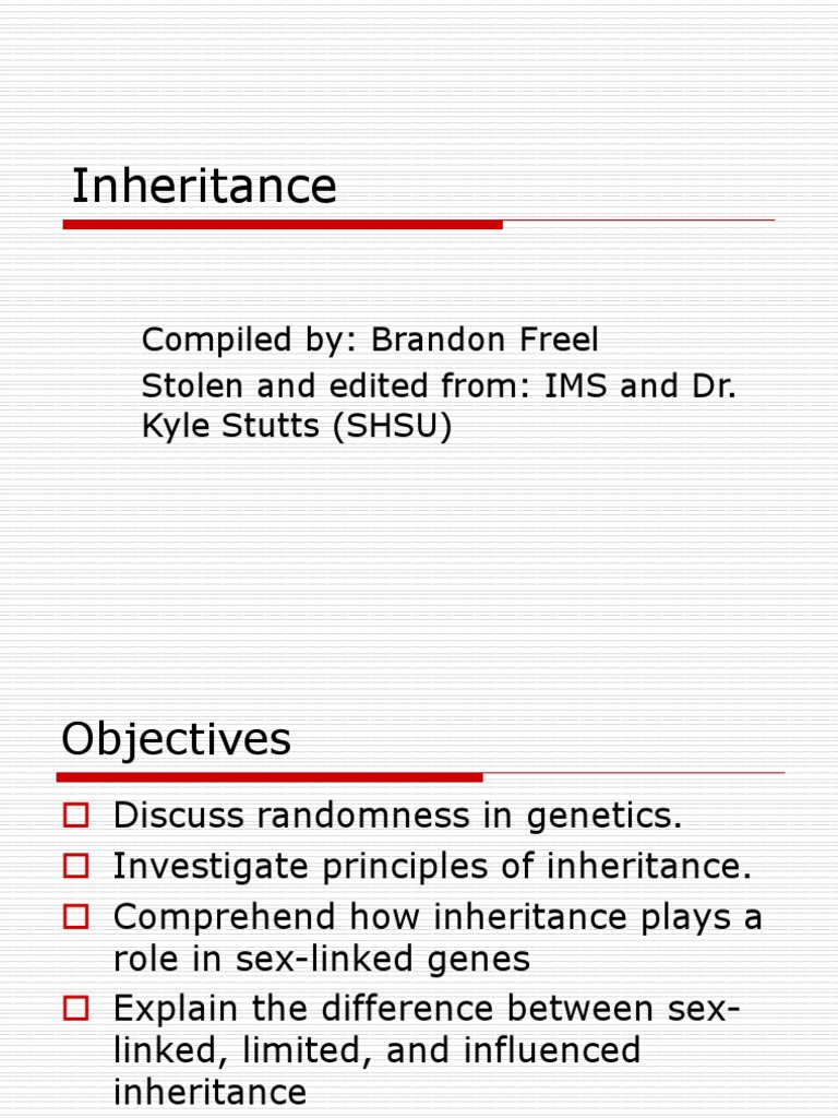 Inheritance: Compiled By: Brandon Freel Stolen and Edited From: IMS and ...