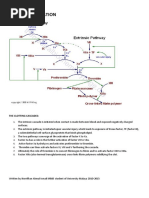 List of 13 Blood Clotting Factors | PDF | Coagulation | Blood