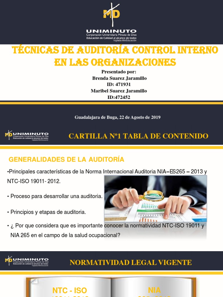 Norma Nia 625, Iso 9011 Auditoria y Control Interno-Brenda | PDF ...