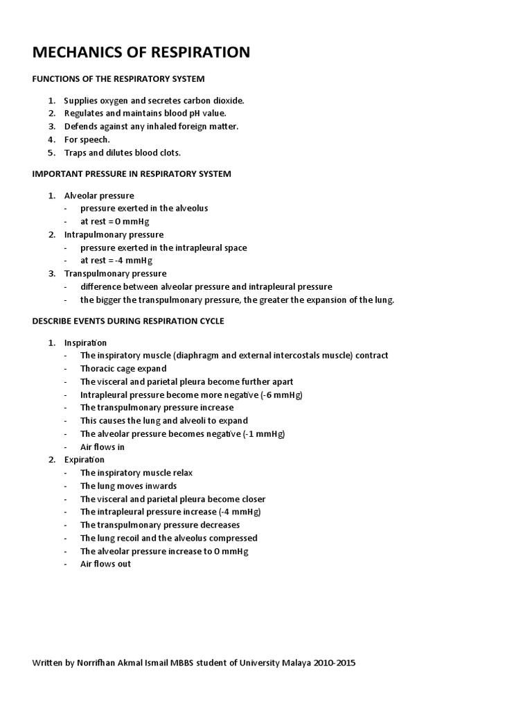 Mechanics of Respiration Explained | PDF | Lung | Respiratory System