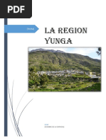 Qué Es La Región Yunga | PDF | Clima | Geografía Física
