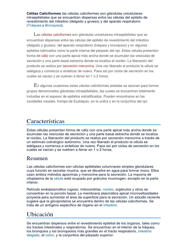 Células Caliciformes: Función y Ubicación | PDF | Moco | Epitelio