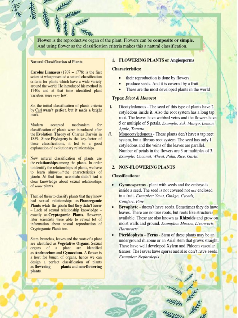 Classification Of Plants Flowering And Nonflowering
