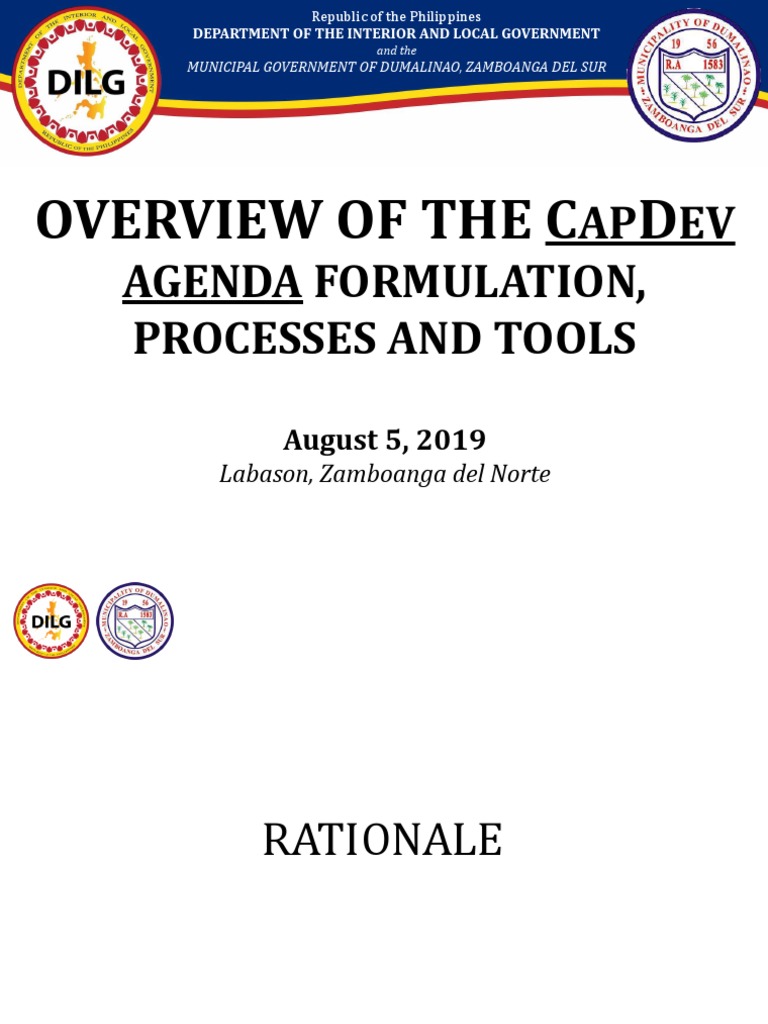Overview of The CapDev Process | PDF | Capacity Building | Risk