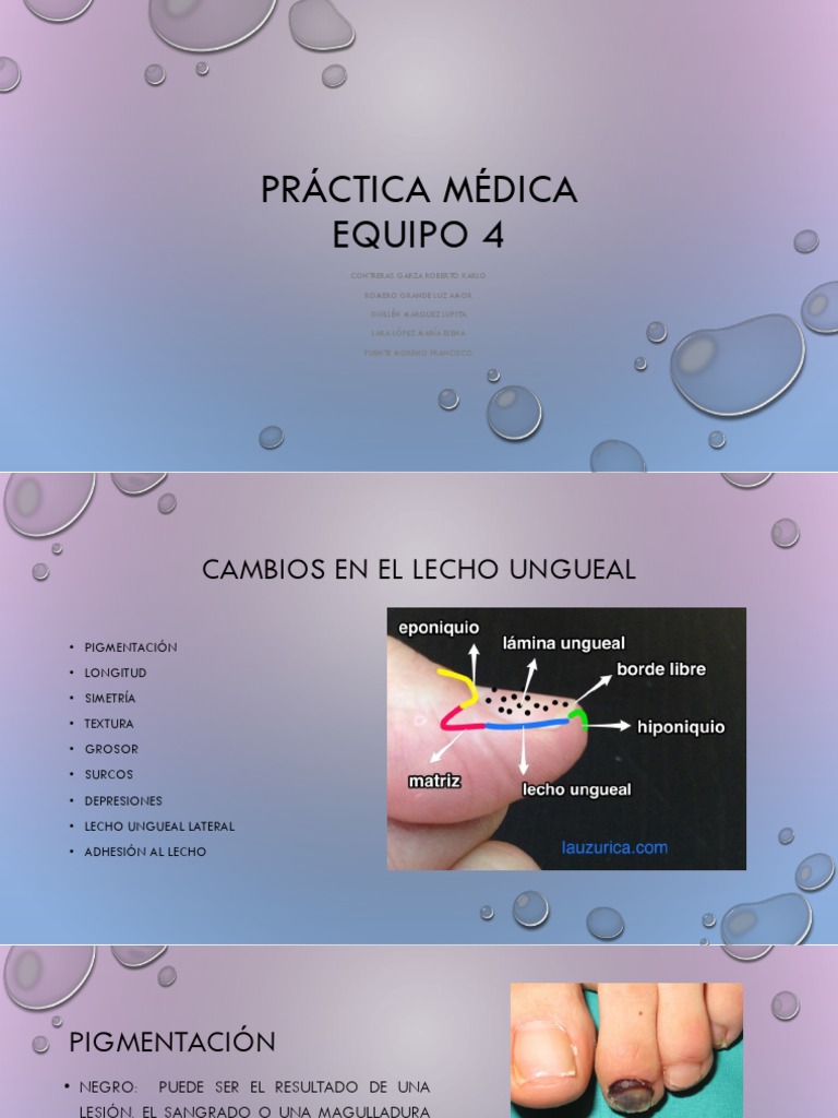 Cambios en El Lecho Ungueal | PDF | Piel | Clavo (anatomía)