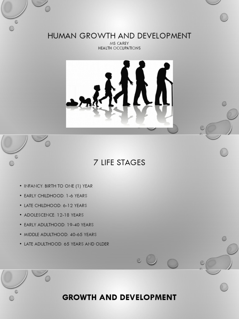 Stages Of Human Development From Birth To Adulthood