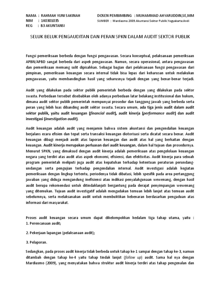 Seluk Beluk Pengauditan Dan Peran SPKN Dalam Audit Sektor Publik | PDF