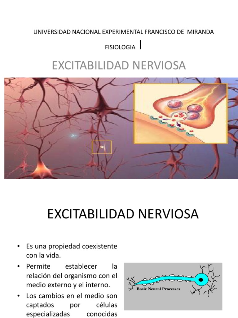 Excitabilidad Nerviosa y Placa Motora | PDF | Potencial de acción | Nervio