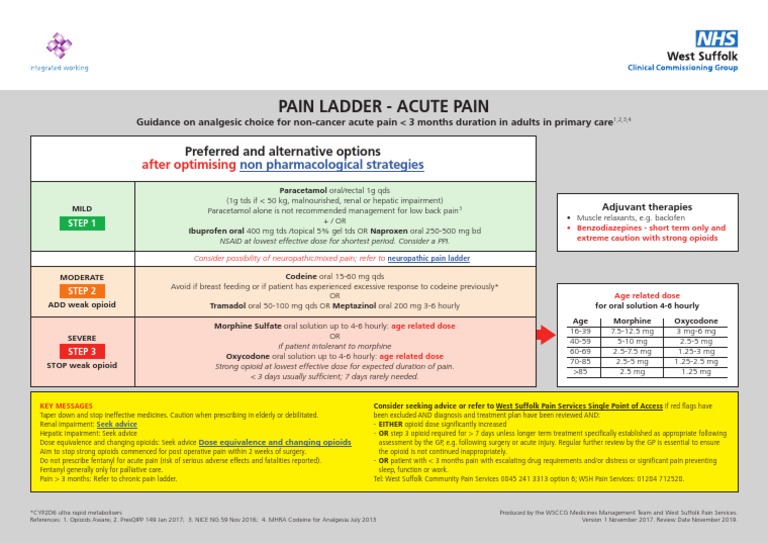 Pain Ladder - Acute Pain: Preferred and Alternative Options | PDF ...