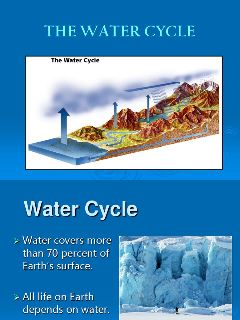 Water Cycle | PDF | Groundwater | Water Cycle