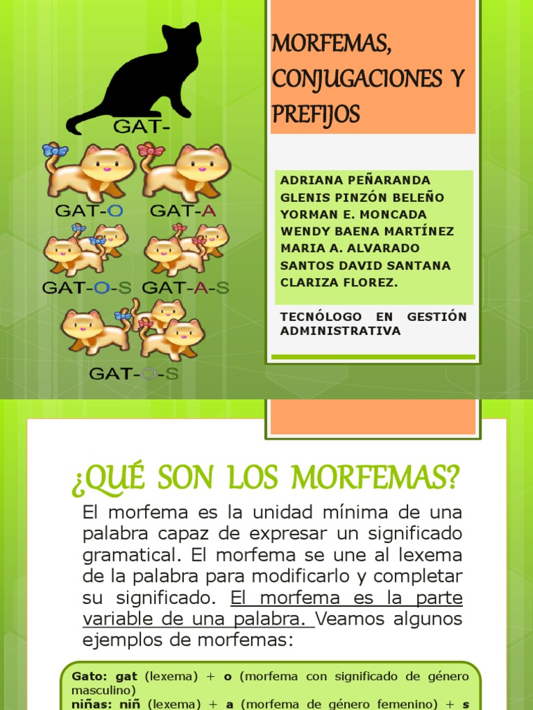 Morfemas, Conjugaciones y Prefijos | PDF | Verbo | Numero Gramatical