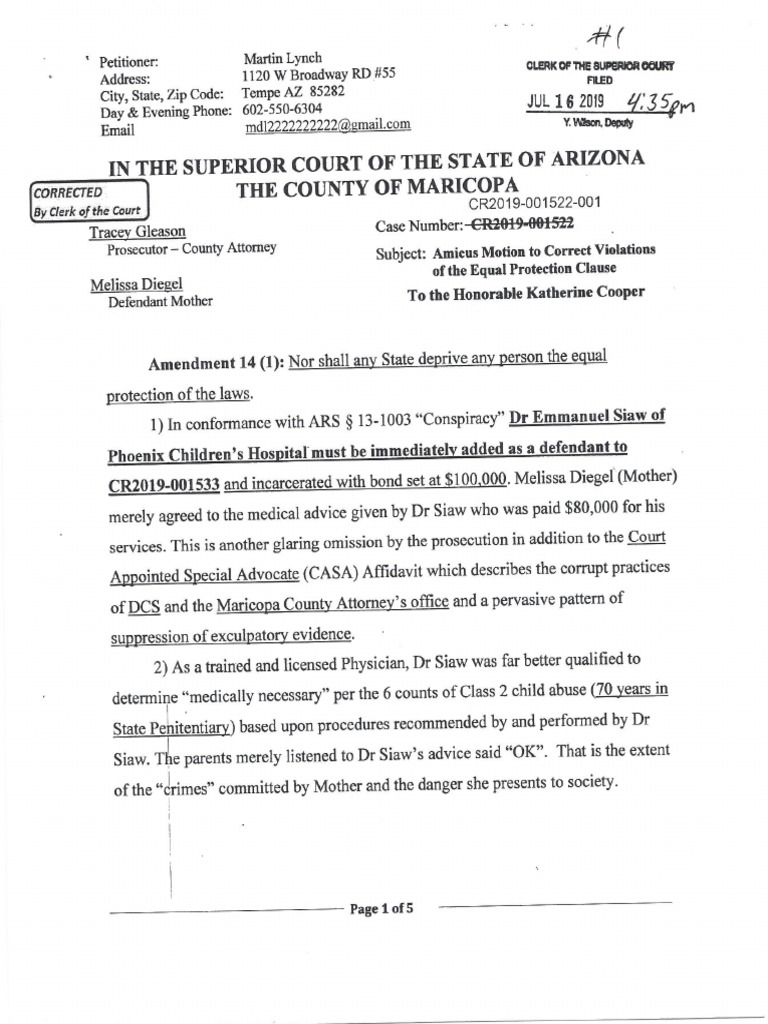 Melissa Diegel Amicus Motion To Correct | PDF