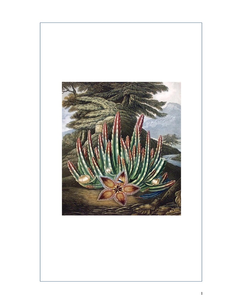 Stapeliads Species | PDF | Home & Garden