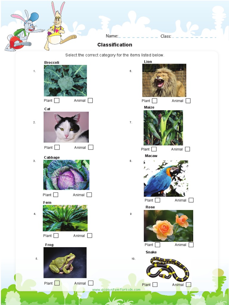 Classify As Plants or Animals | PDF | Science & Mathematics