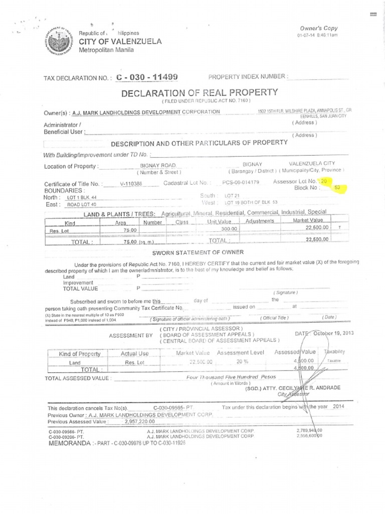 Apple Copy of Tax Declaration | PDF