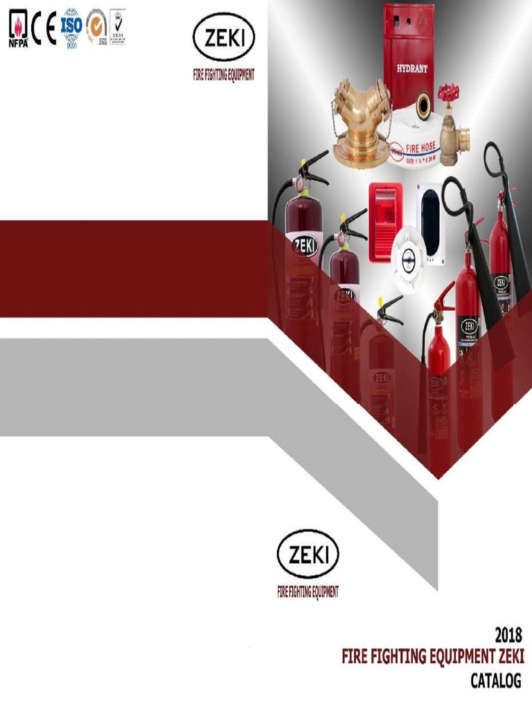 Zeki | PDF