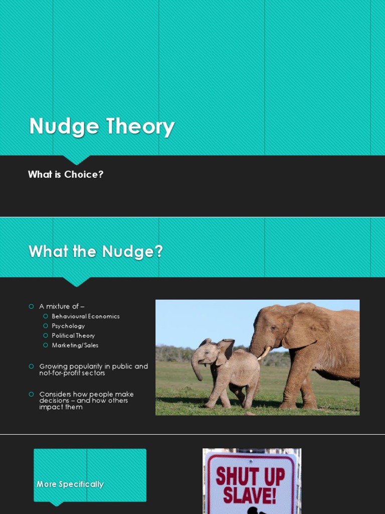 Nudge Theory: What Is Choice? | PDF | Theory | Bias