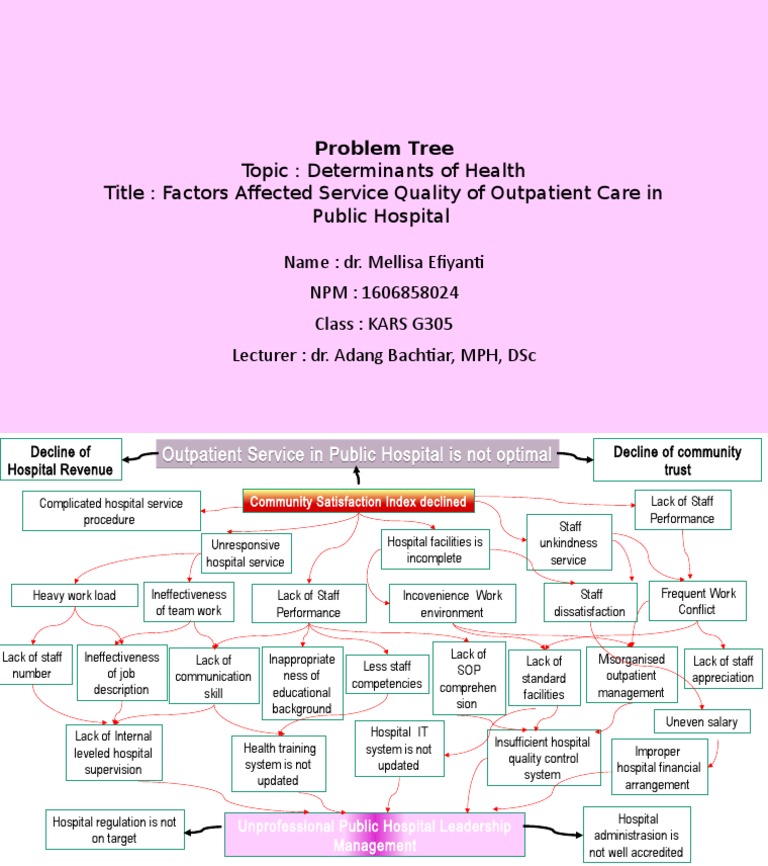 Topic: Determinants of Health Title: Factors Affected Service Quality ...
