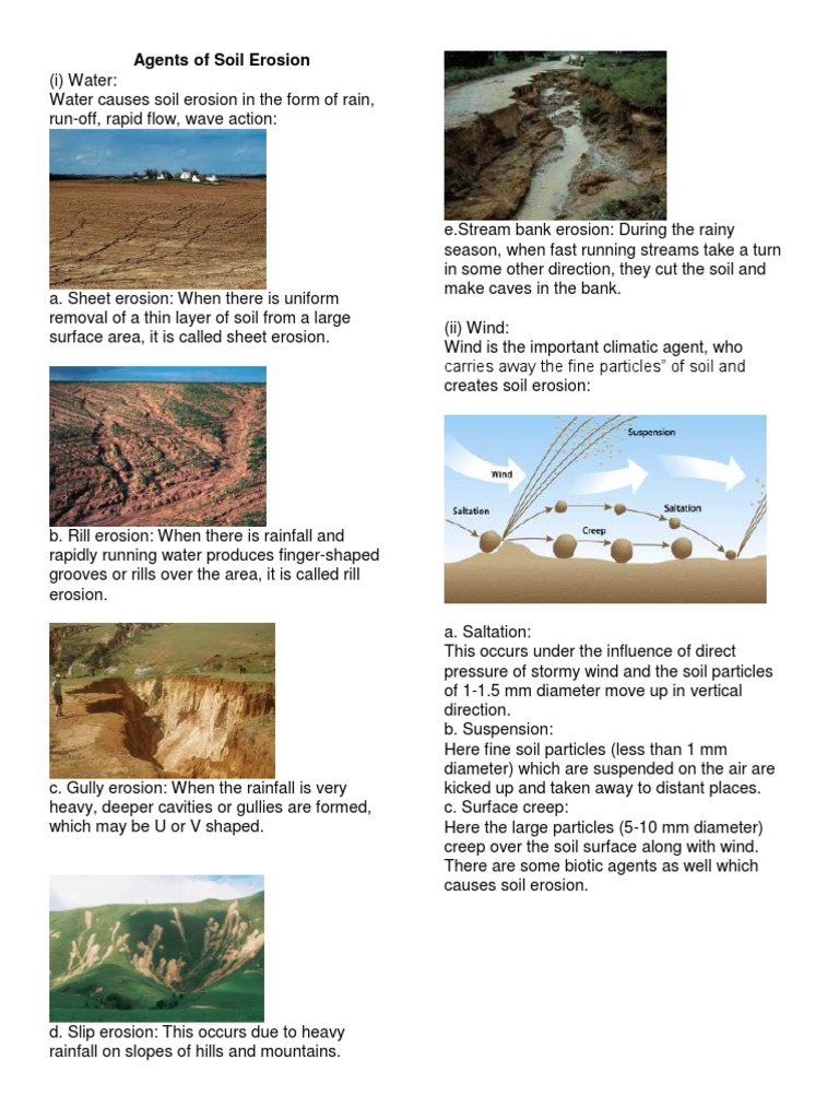 Agents of Soil Erosion | PDF | Erosion | Soil