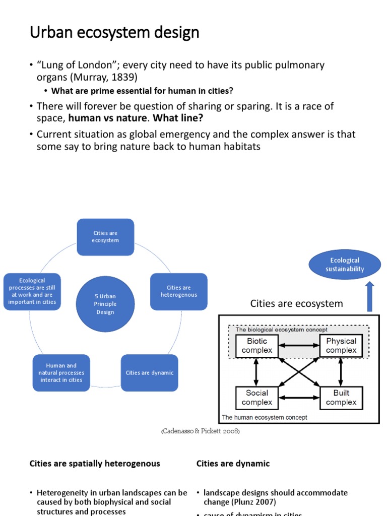 Urban Ecosystem Design: - What Are Prime Essential For Human in Cities ...