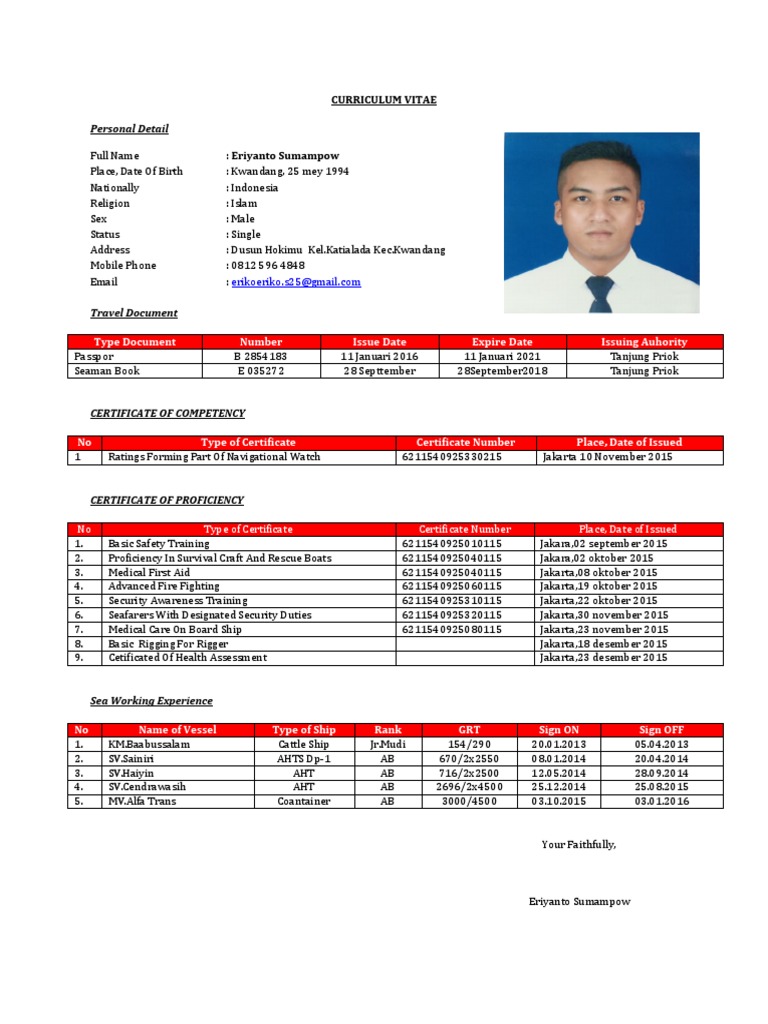 Curriculum Vitae Erik | PDF | Sailor | Water Transport
